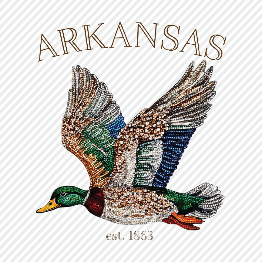Arkansas Diamond Duck – K. Wells Designs